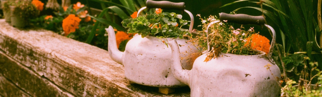 Guide: Everything you need to know about the State Pension - Zest ...